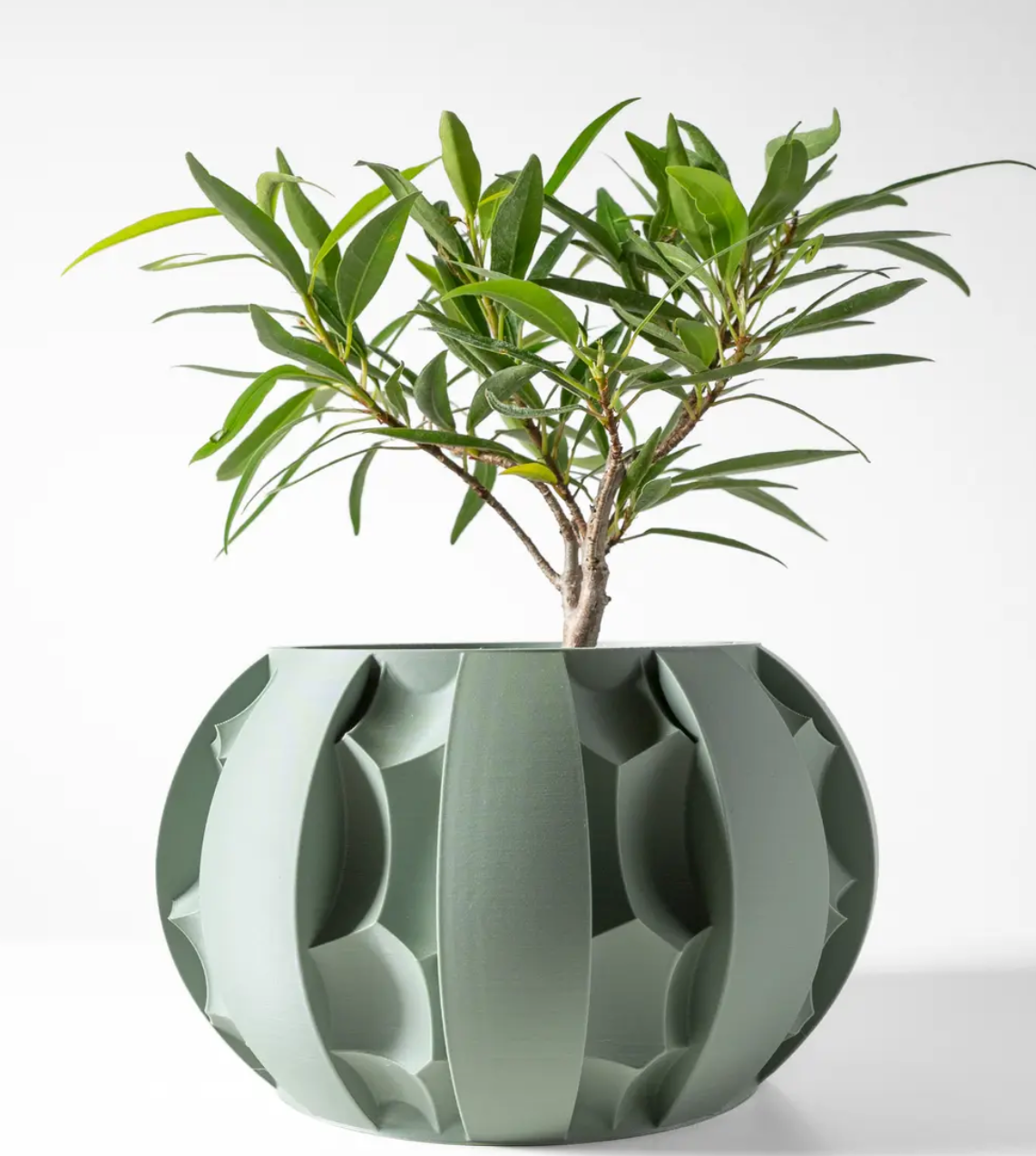 The Erna – Sawdust by Smith