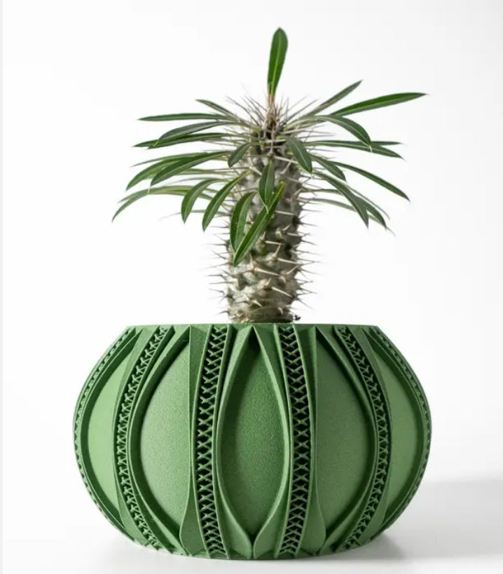 The Ryne – Sawdust by Smith